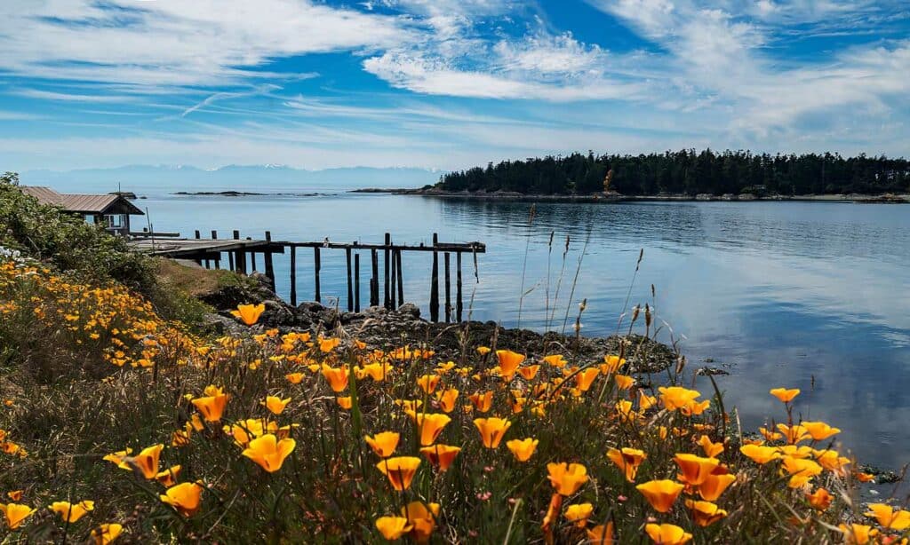 Maps of Lopez Island – Lopez Island Chamber of Commerce